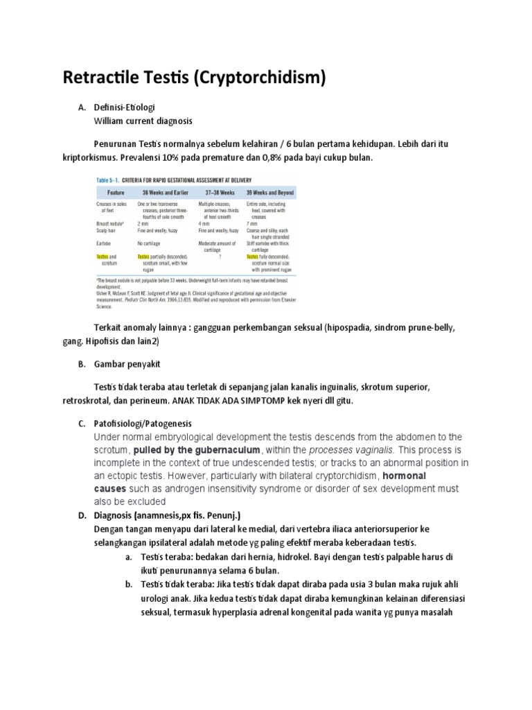 Cryptorchidism | PDF