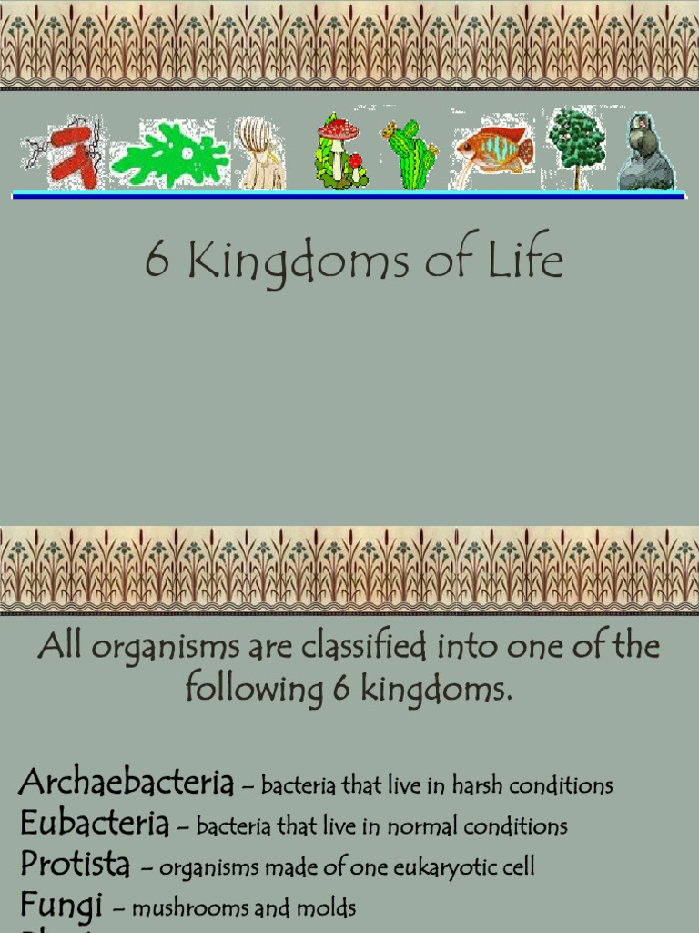 Overview of the Six Kingdoms | PDF | Organisms | Cell (Biology)