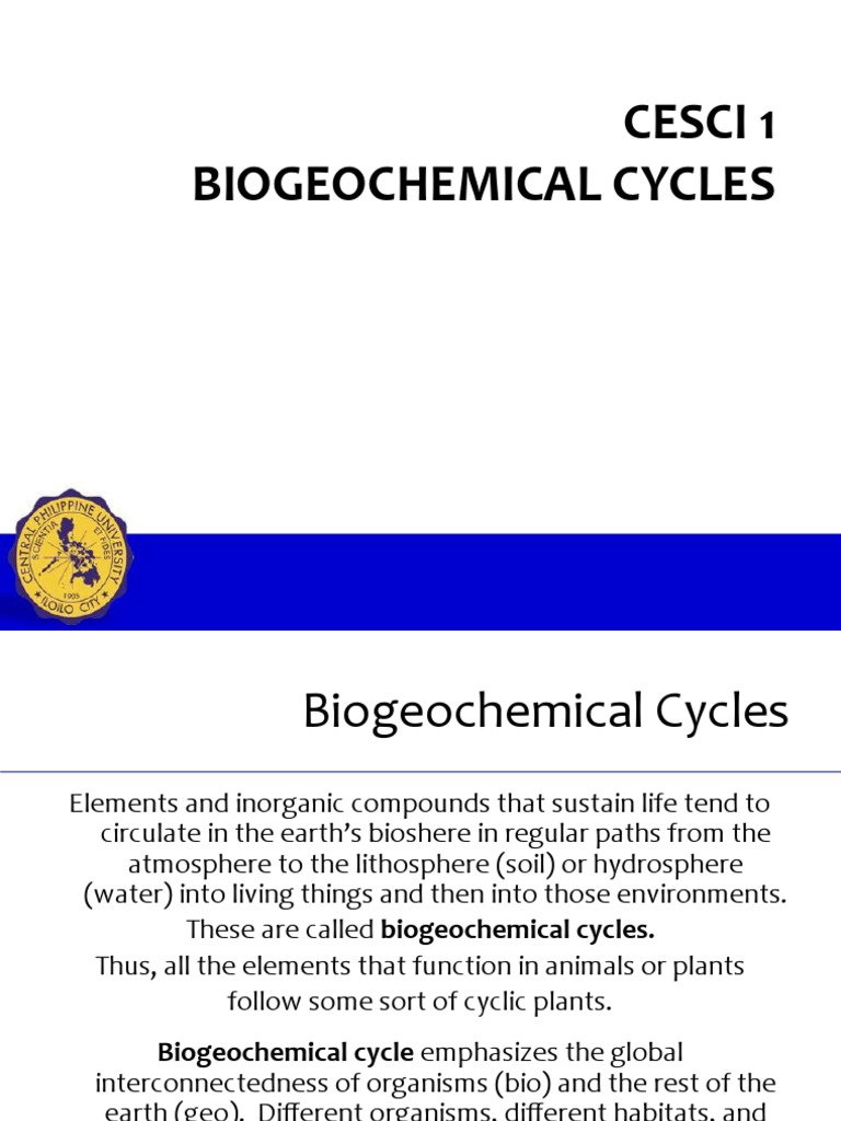 8 Biogeochemical Cycle | PDF | Water Cycle | Water