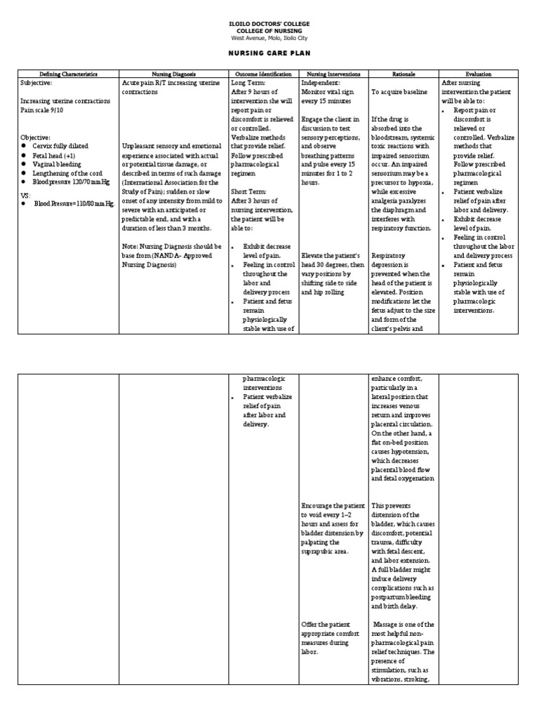 Nursing-Care-Plan 4 | PDF | Childbirth | Pain