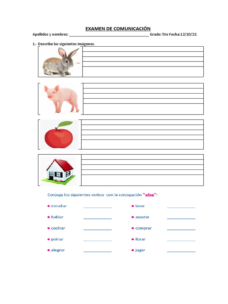 EXAMEN DE COMUNICACIÓN - 5to Grado | PDF