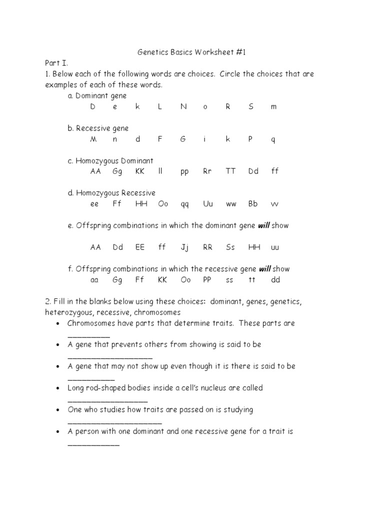 Genetics Basics Worksheet | PDF