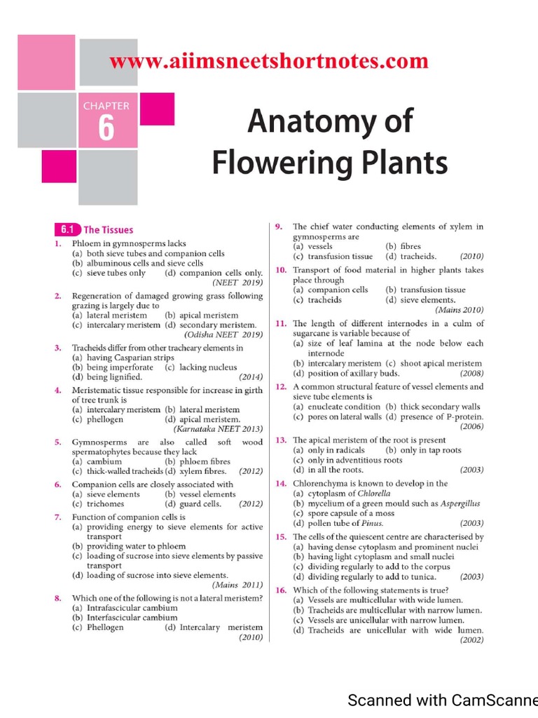 Anatomy of Flowering Plants 1 | PDF
