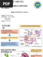 Anatomía de los conductos pancreáticos | PDF | Páncreas | Digestión