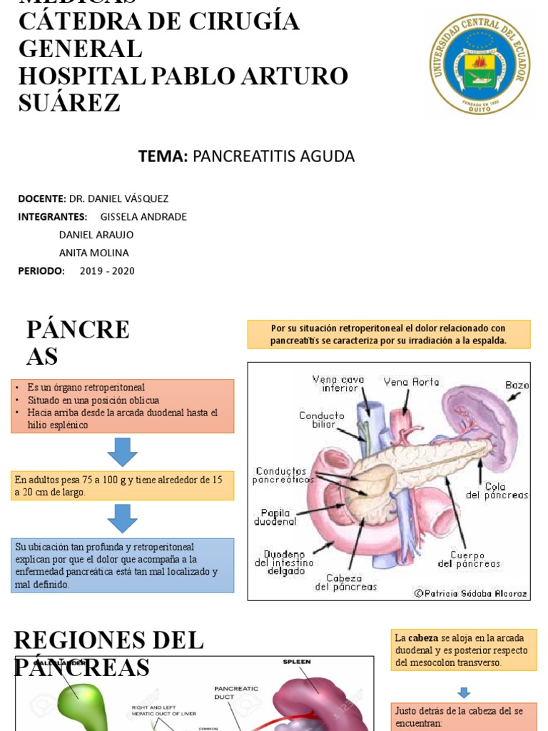 Pancreatitis Aguda | PDF | Páncreas | Especialidades Medicas