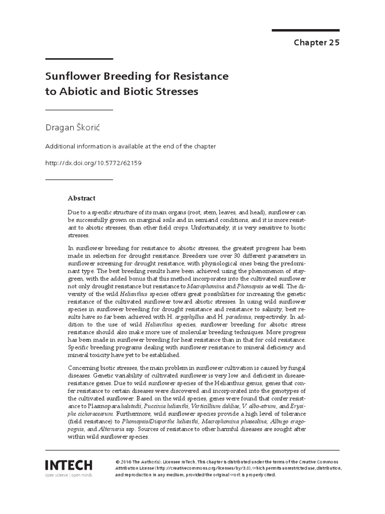 Sunflower Breeding | PDF | Plant Breeding | Drought