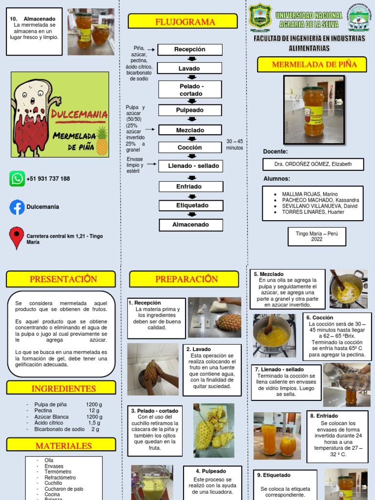 Mermelada de Piña Triptico | PDF