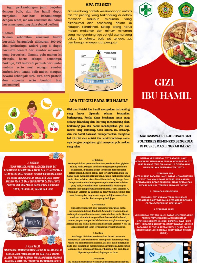 Gizi Ibu Hamil Revisi Pdf