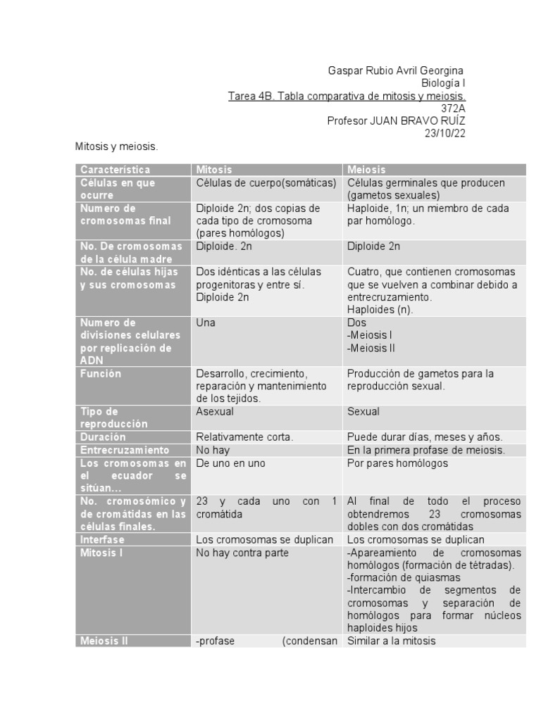 Tarea 4B. Tabla Comparativa de Mitosis y Meiosis. | PDF | Mitosis | Mitosis