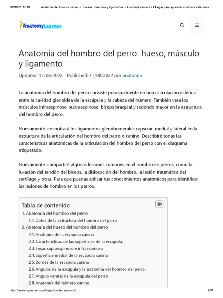 Anatomía del hombro del perro_ huesos, músculos y ligamentos ...