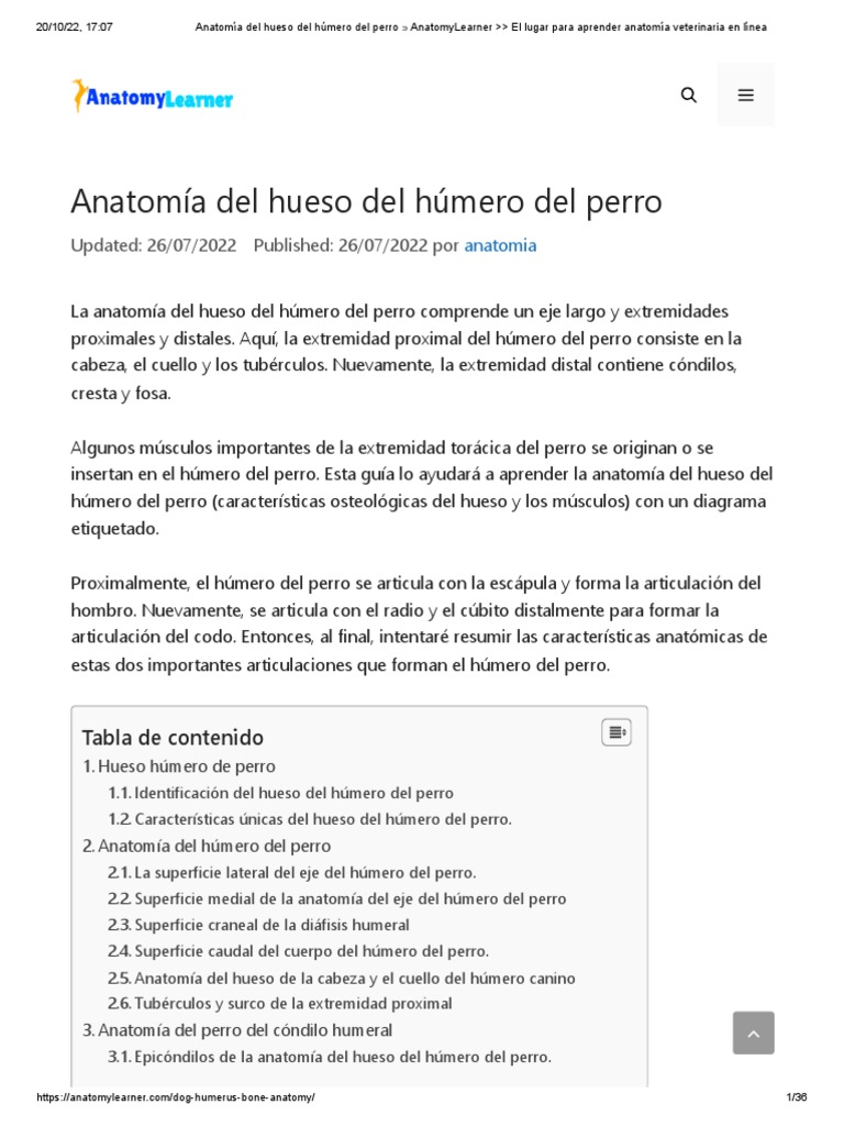 Anatomía del húmero en perros | PDF | Codo | Sistema esquelético