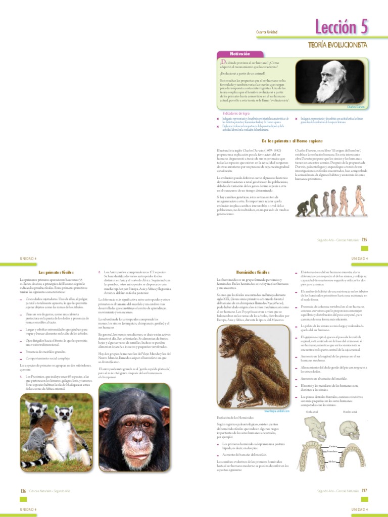 Ciencias Naturales 2 Lección 5-4 | PDF | Evolución humana | Homo