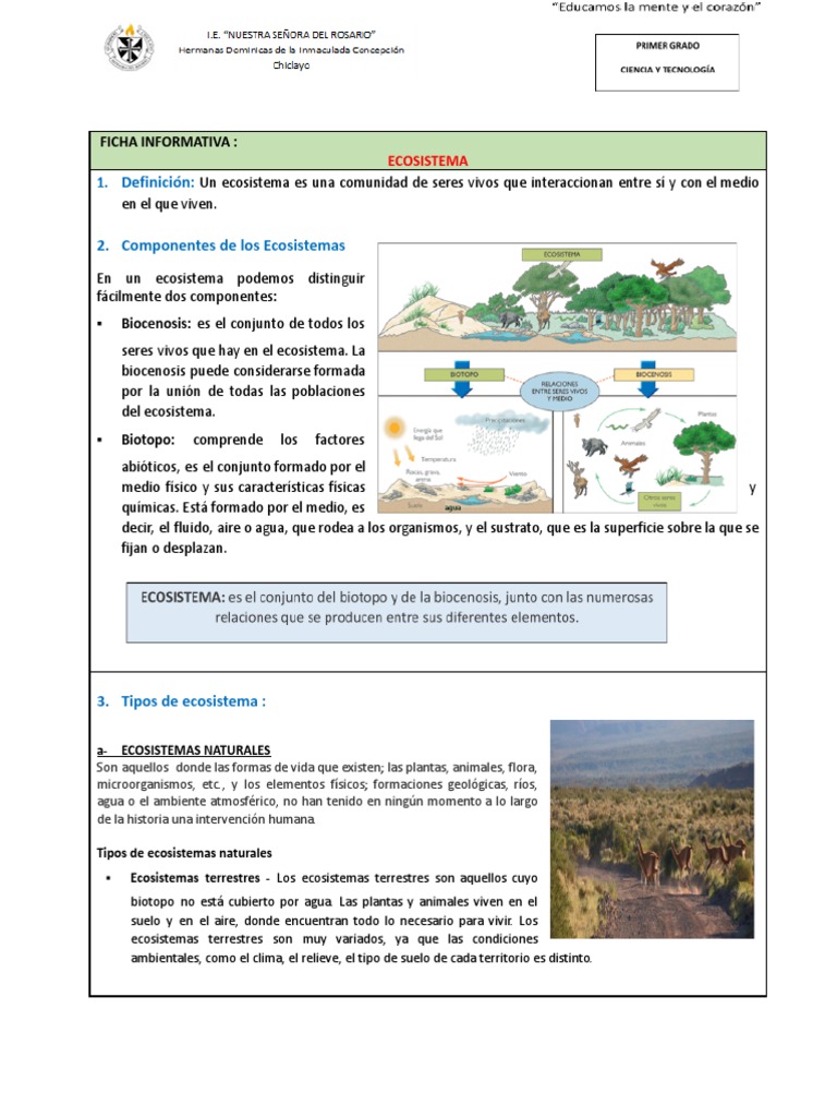 Anexo 01 - Ficha Informativa Ecosistemas | PDF | Ecosistema | Suelo