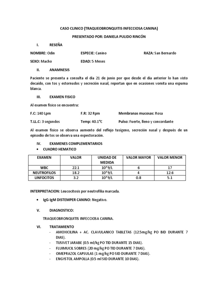 Traqueobronquitis Infecciosa Canina | PDF | Tos | Ciencias de la Salud