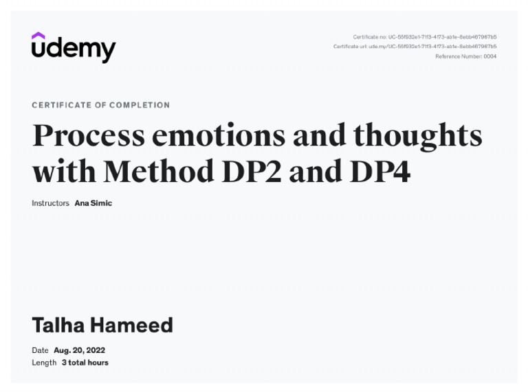 01 DP2 & DP4 Processor | PDF