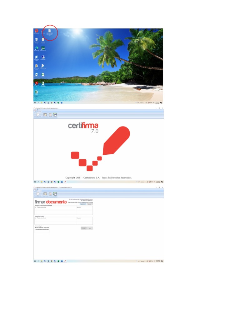 Paso A Paso Sismed - Sispro | PDF