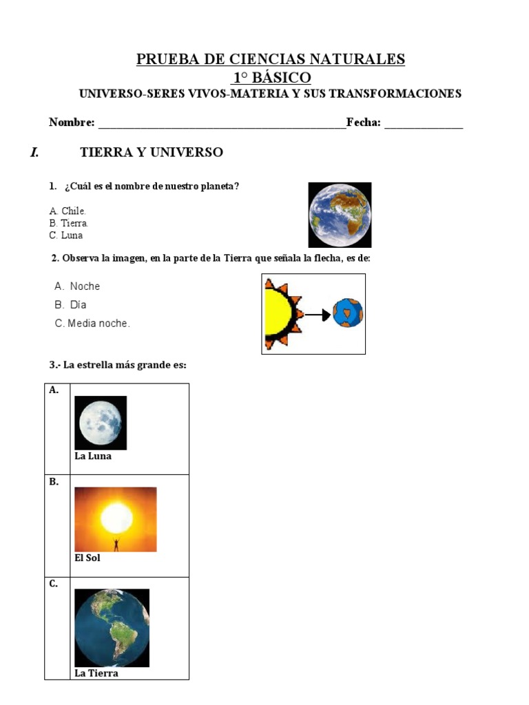 Prueba de Ciencias Naturales 1° Básico | PDF | Tierra | Agua