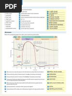 Normal 2D Echocardiogram Report | PDF | Heart Valve | Diastole