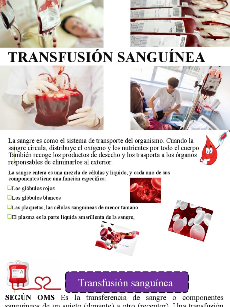 Transfusion Sanguinea | PDF | Sangre | Transfusión de sangre