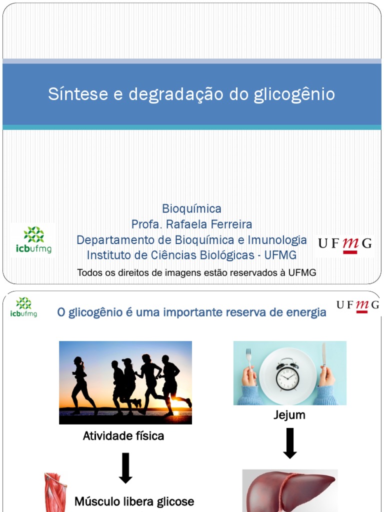AT16 Glicogenio | PDF | Glicogênio | Metabolismo