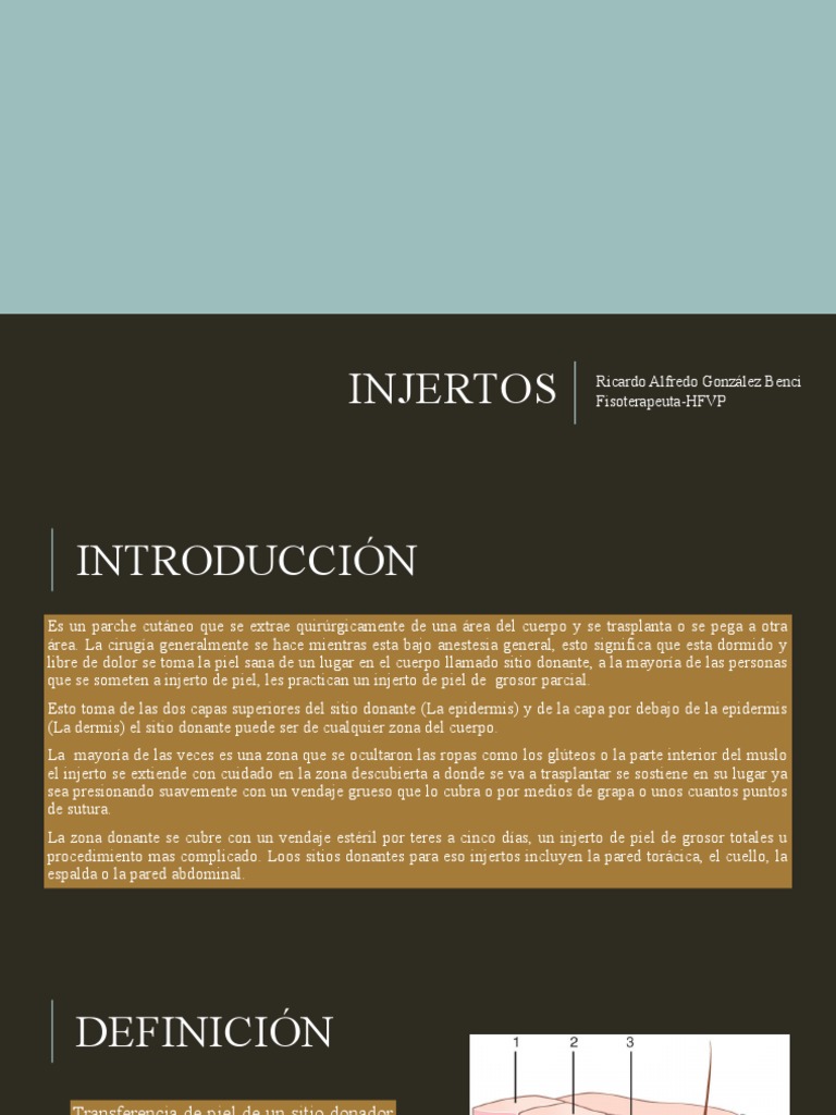 INJERTOS | PDF | Piel | Especialidades Medicas