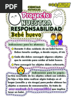 Diario Huevo Bebé Sexto Grado | PDF