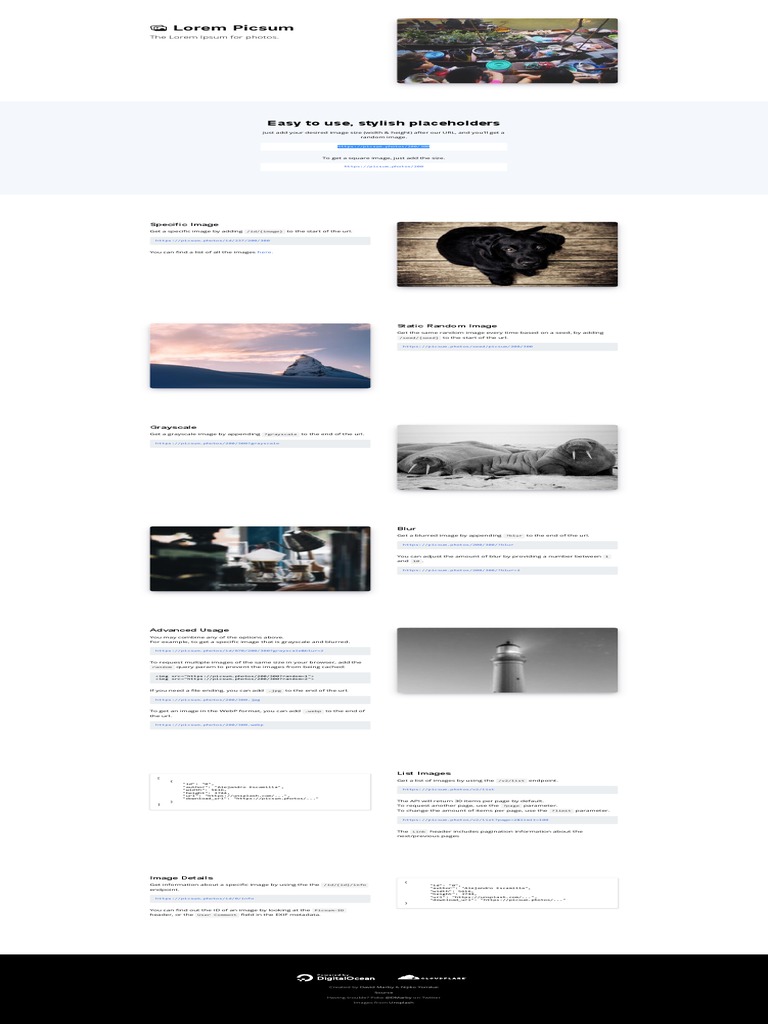 Lorem Picsum | PDF | Software Engineering | Internet