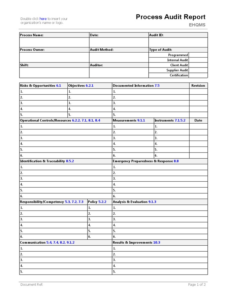 Process Audit Report | PDF | Audit | Auditor's Report