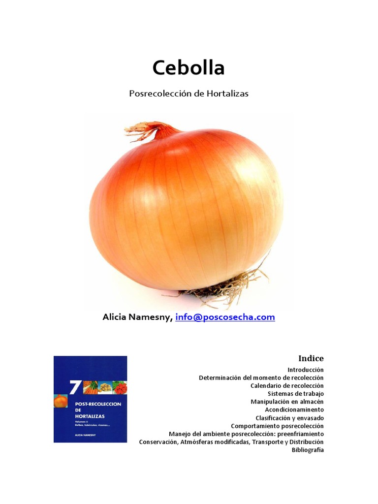 Cebolla 2015 | PDF | Cosecha | Cebolla