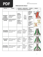 Musculos Intrinsecos y Extrinsecos Del Dorso | PDF | La columna ...