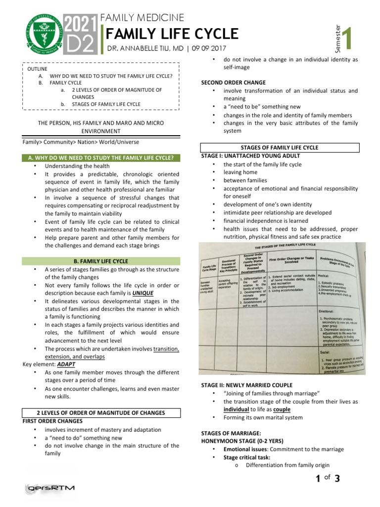 Fammed Family Life Cycle | PDF | Family | Adolescence