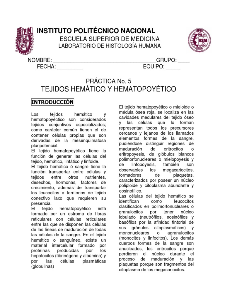 Práctica 5.1 Tejidos Hematico-Hematopoyetico | PDF | Hematopoyesis | Sangre