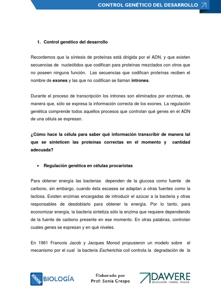 Control Genético Del Desarrollo | PDF | Epigenética | La expresion genica