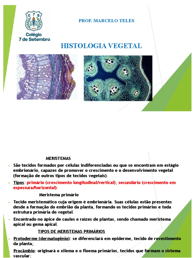 Aula Histologia Vegetal 2021 | PDF | Fisiologia Vegetal | Morfologia ...