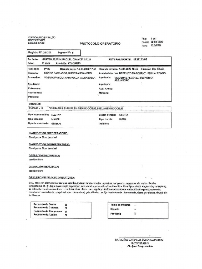 Protocolo Operatorio | PDF