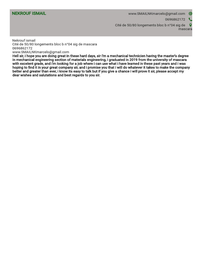 CV de Smail | PDF | Cognition | Cognitive Science