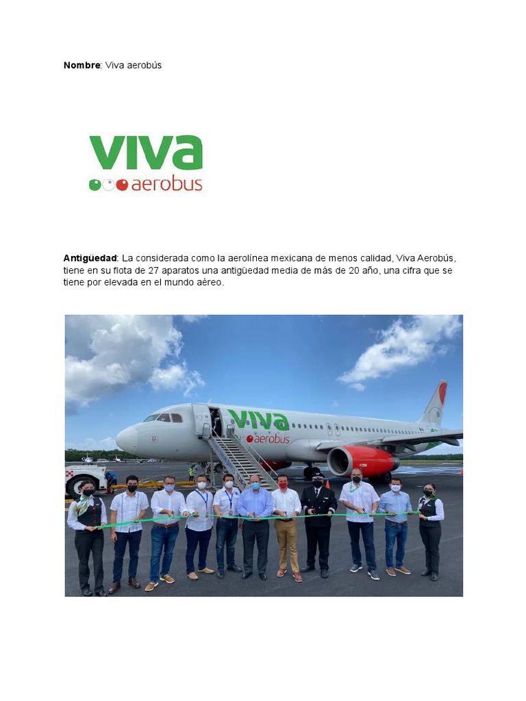 Viva Aetobus | PDF