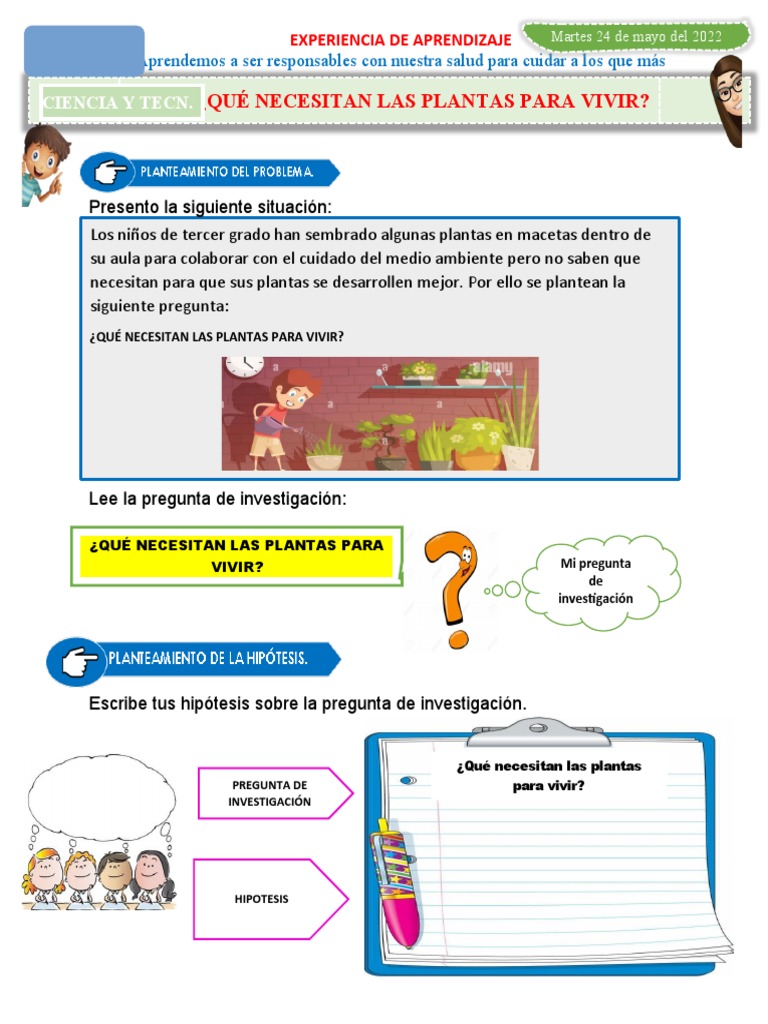 d2 A1 Ficha ¿Qué Necesitan Las Plantas para Vivir | PDF