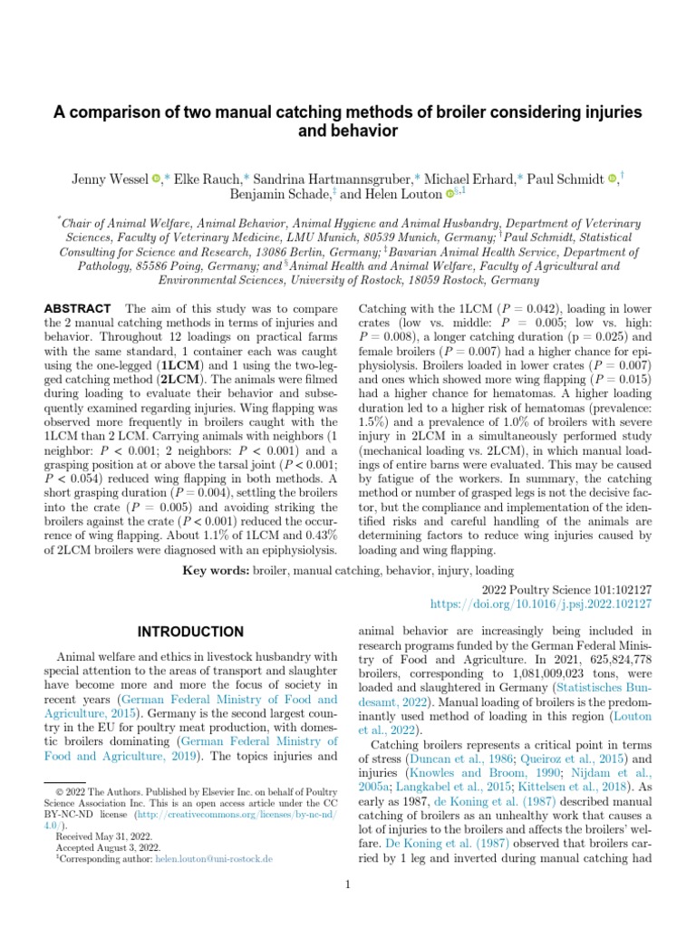 Comparing manual catching methods for broiler injuries and behavior | PDF | Broiler | Animal Welfare