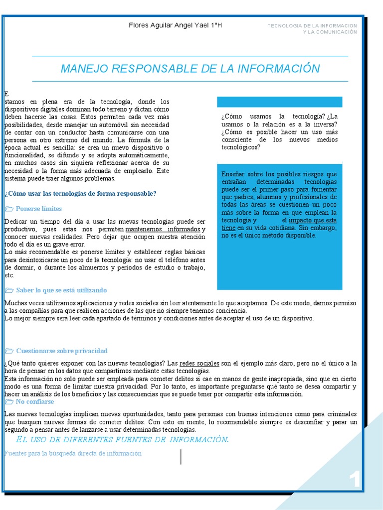 Manejo Responsable de la Información | PDF | Cookie HTTP | Seguridad de información