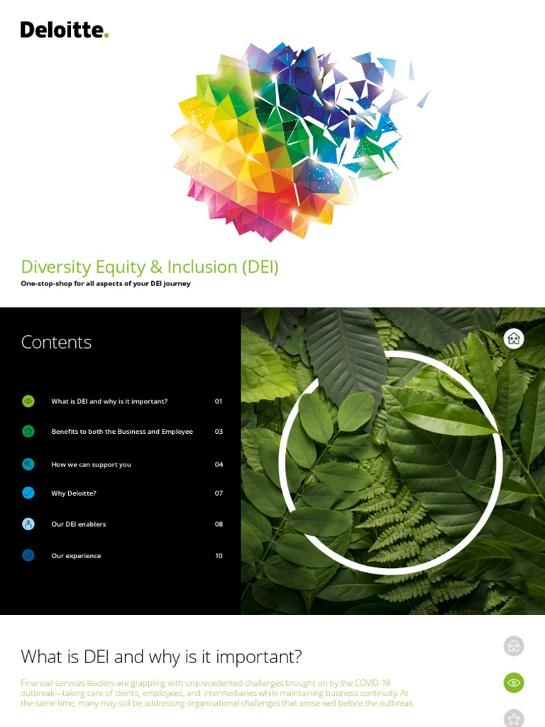 Diversity Equity & Inclusion (DEI) : One-Stop-Shop For All Aspects of ...