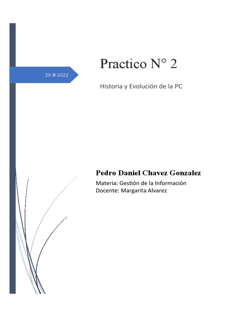 Practico #2 | PDF | Monitor de computadora | De entrada y salida
