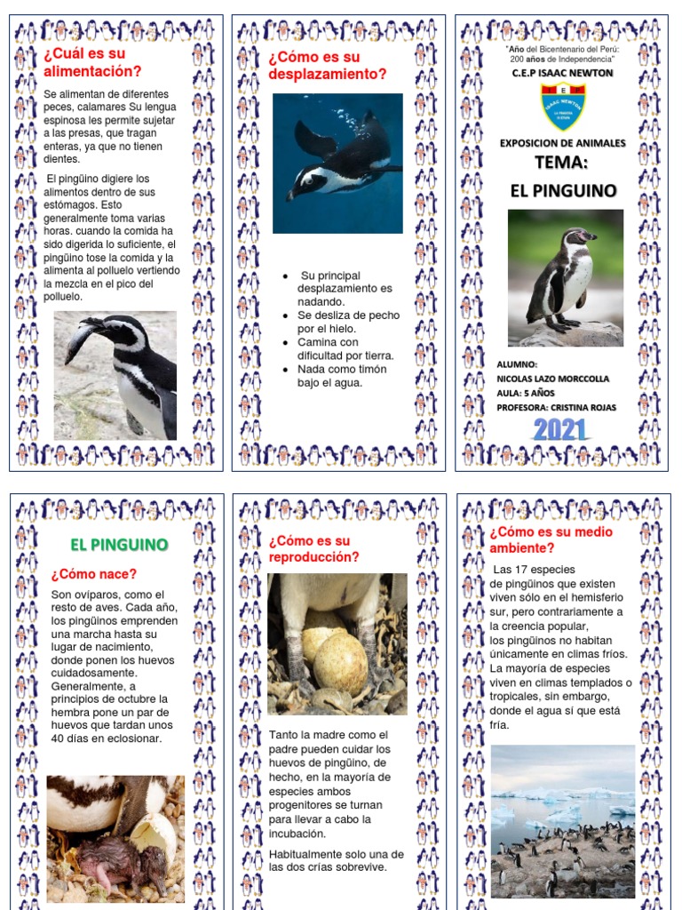 El ciclo de vida del pingüino | PDF | Pingüino | Huevo