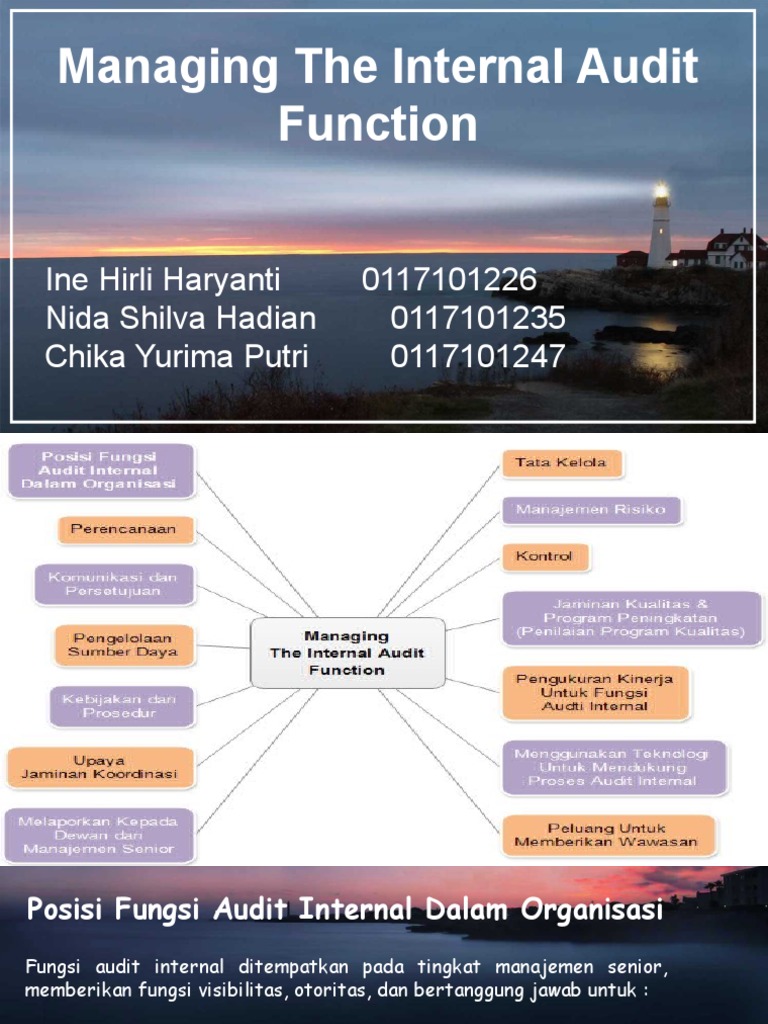 Managing The Audit Internal Function | PDF
