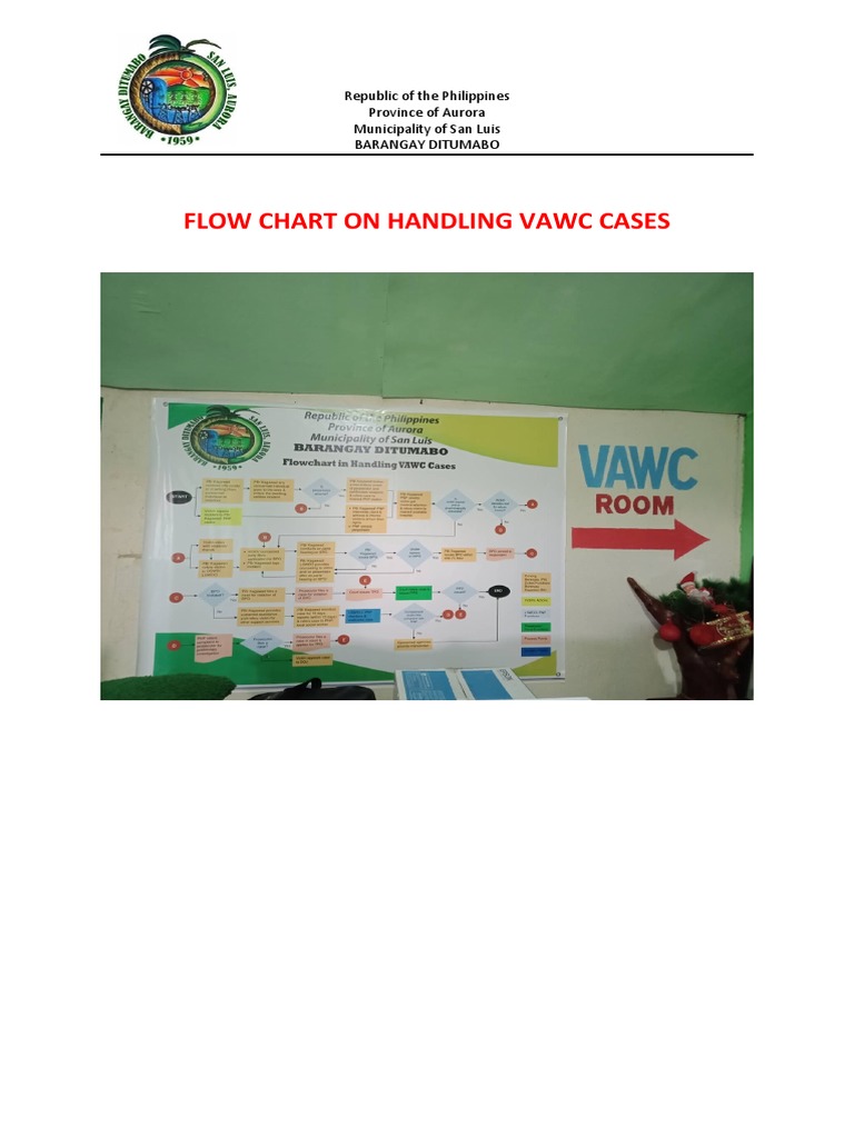 Flowchart On Handling Vawc Cases | PDF