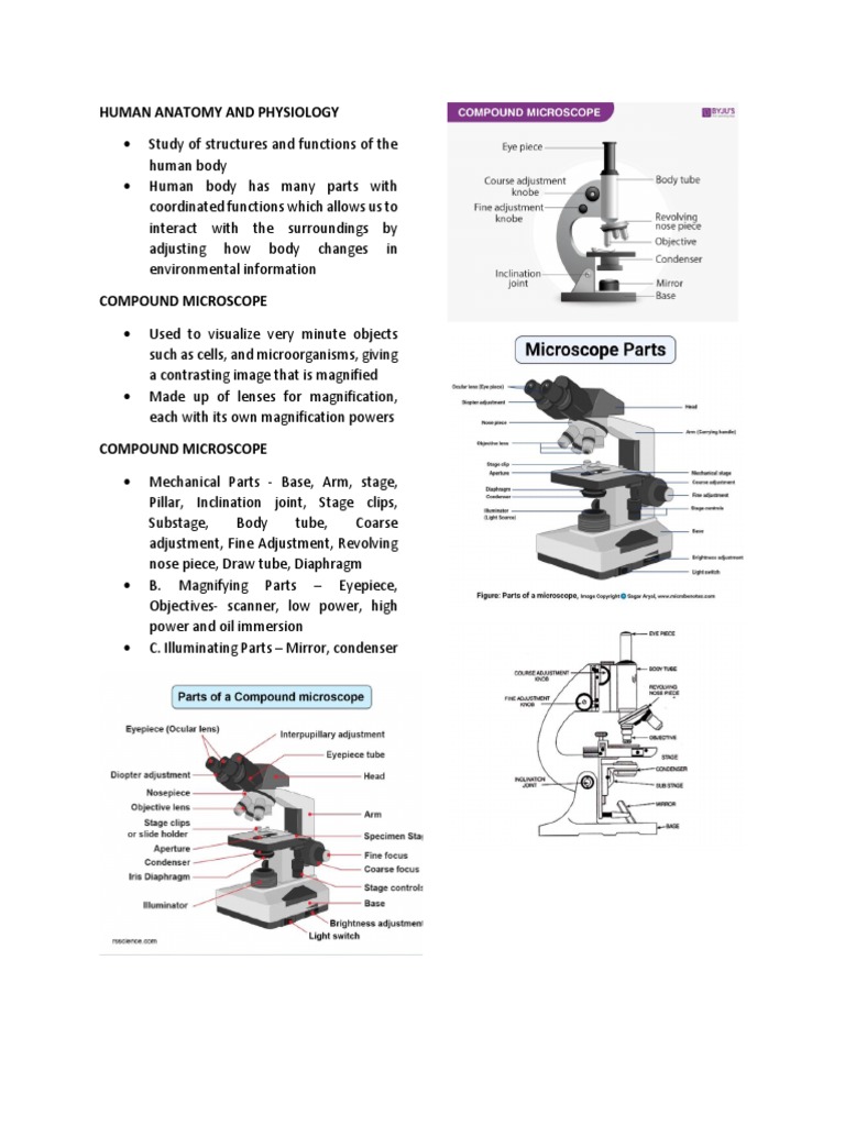 Anaphy Lab Reviewer | PDF | Cell (Biology) | Endoplasmic Reticulum