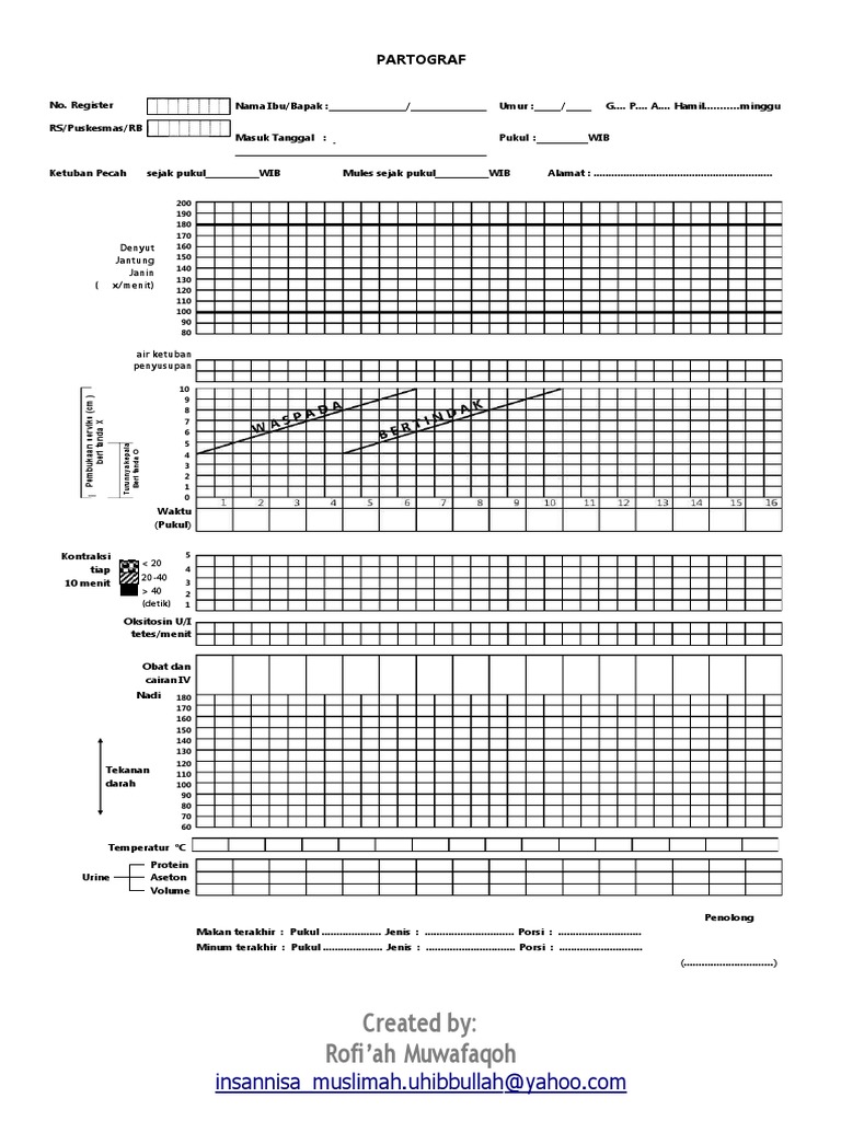 Partograf Terbaru | PDF