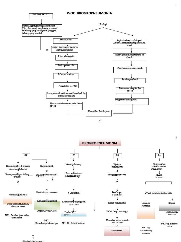 Woc Broncopneumonia New | PDF