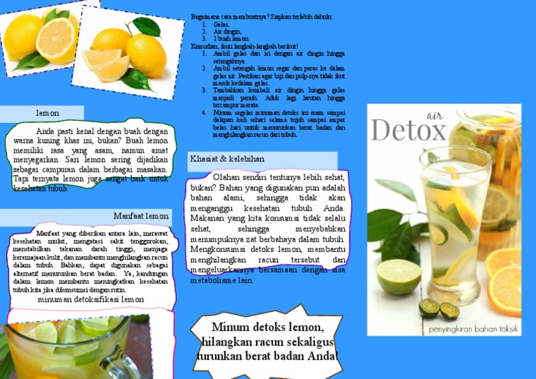 Brosur Lemon | PDF