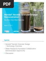 Aerobic Granular Sludge System Nereda-1 | PDF | Process Engineering ...